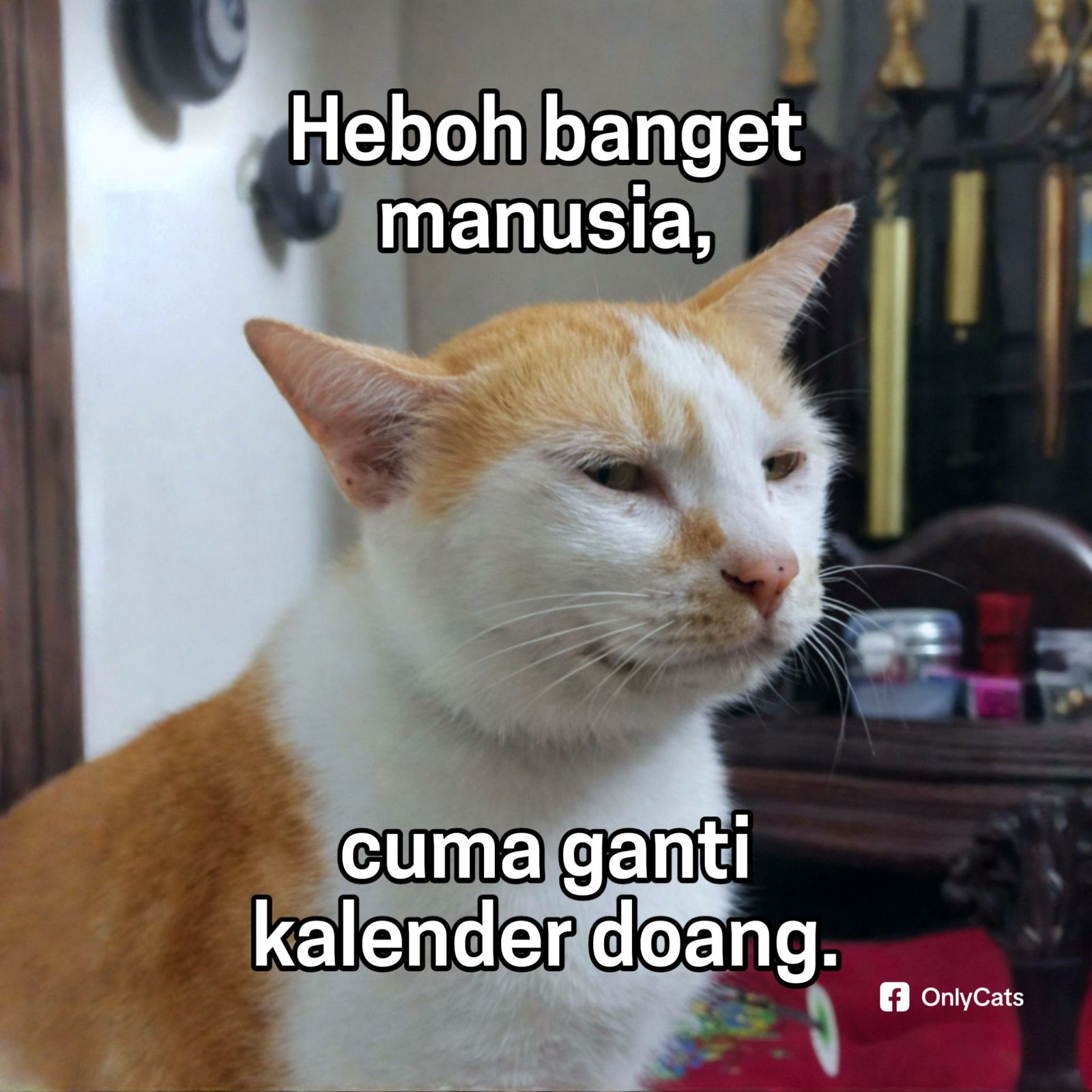 Manusia lebay, cuma ganti kalender doang hebohnya kayak menyambut ...